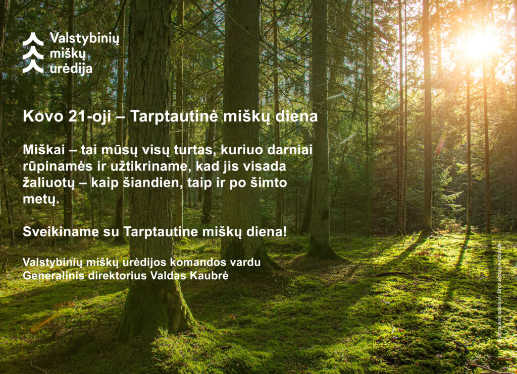 Kovo 21-oji – Tarptautinė miškų diena - Valstybinių miškų urėdija