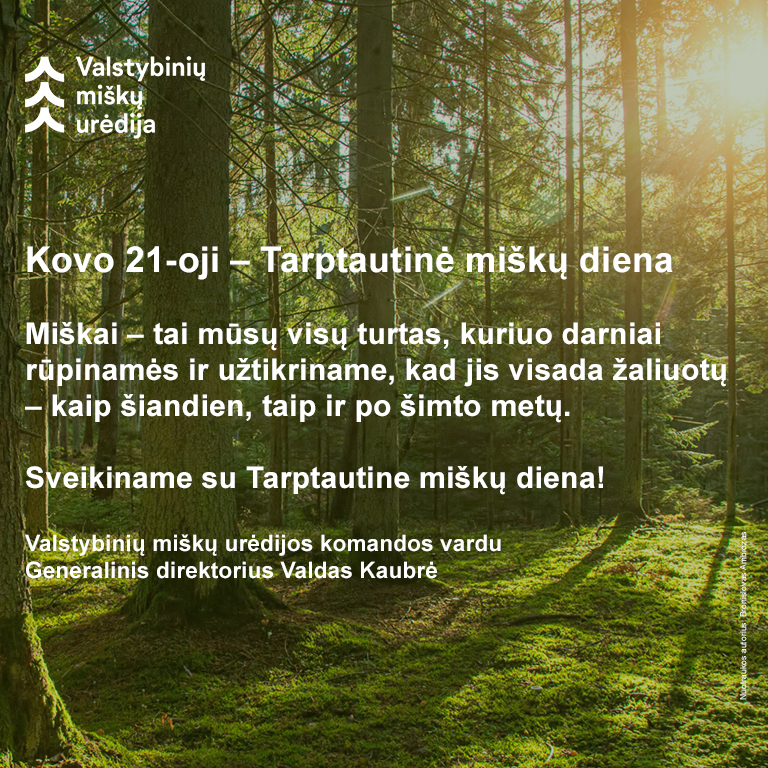 Kovo 21-oji – Tarptautinė miškų diena - Valstybinių miškų urėdija