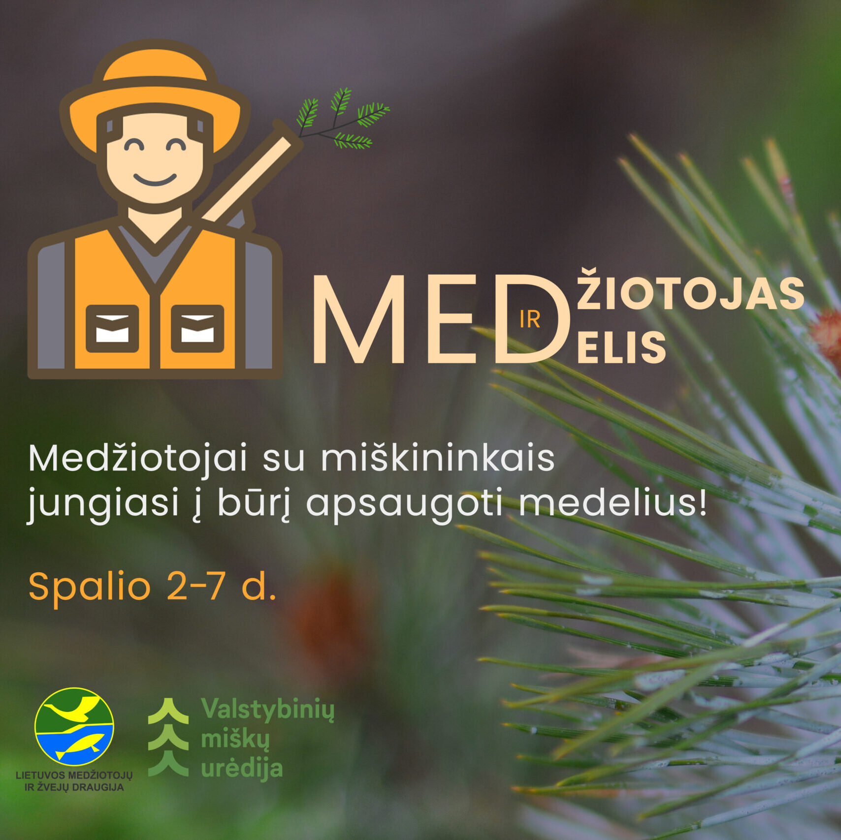 Medžiotojas ir medelis - Valstybinių miškų urėdija