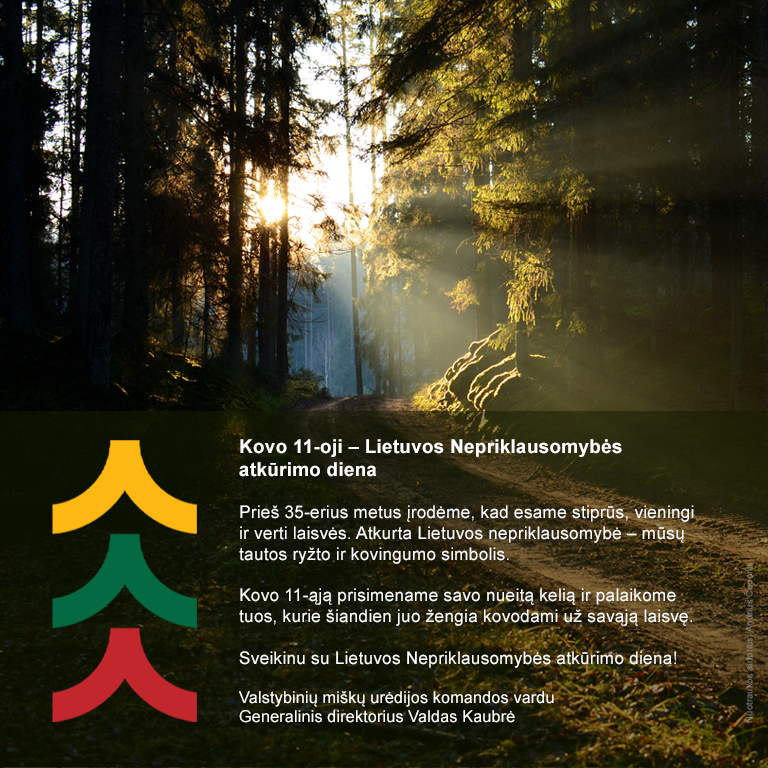 Kovo 11-oji – Lietuvos Nepriklausomybės atkūrimo diena - Valstybinių miškų urėdija